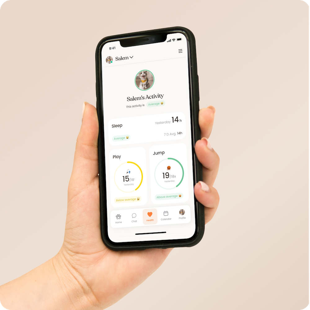 Activity Tracker + Hub – Moggie